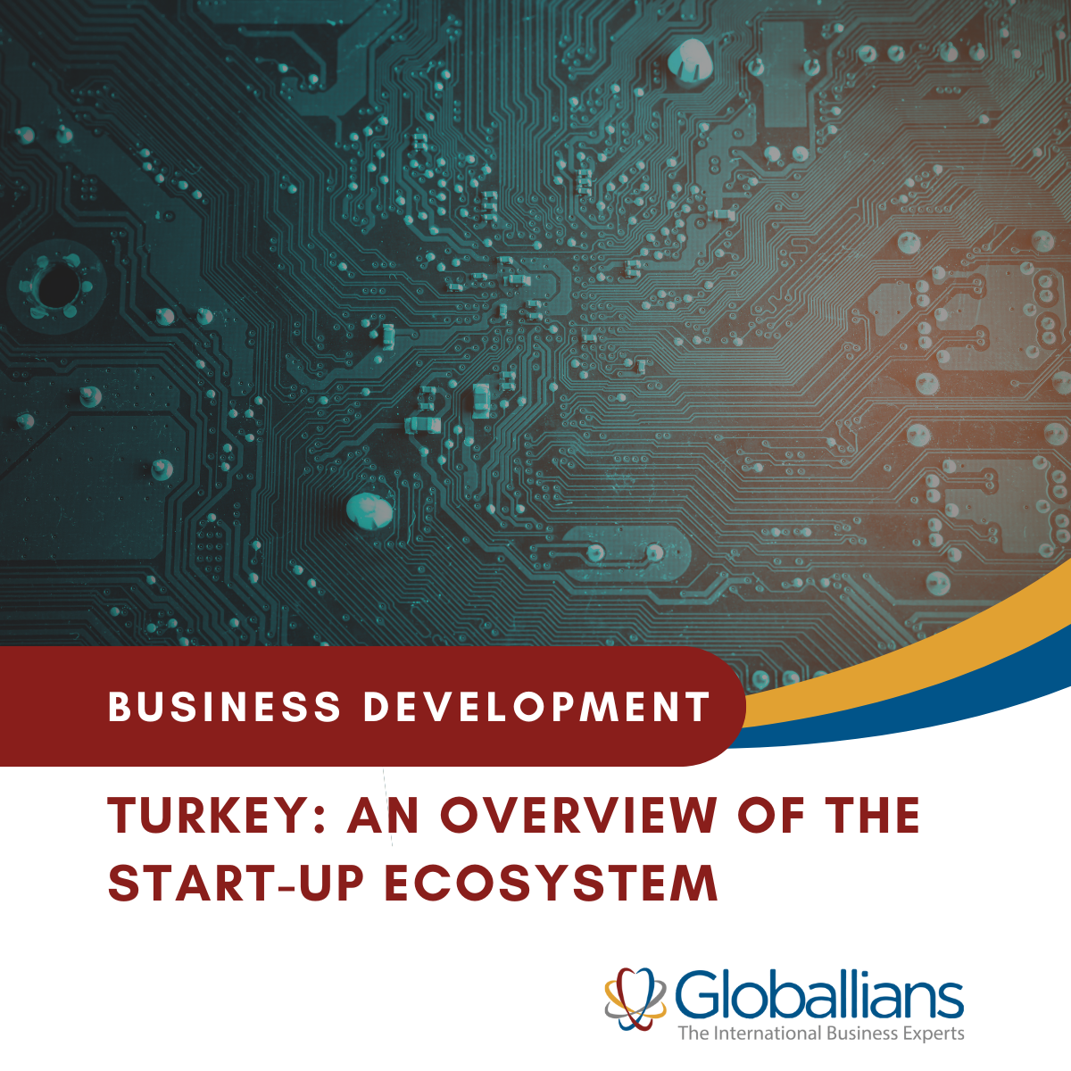 Business development and innovation: an overview of the start-up ...